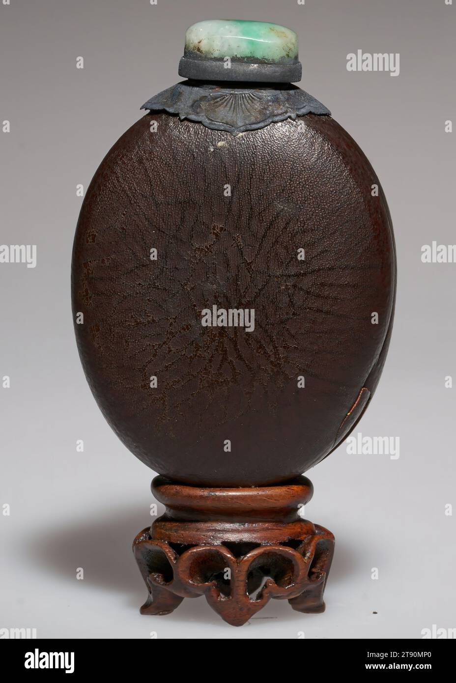 Snuff Bottle, 17th-19th century, 2 1/2 x 1 3/4in. (6.4 x 4.4cm), Nut or ...