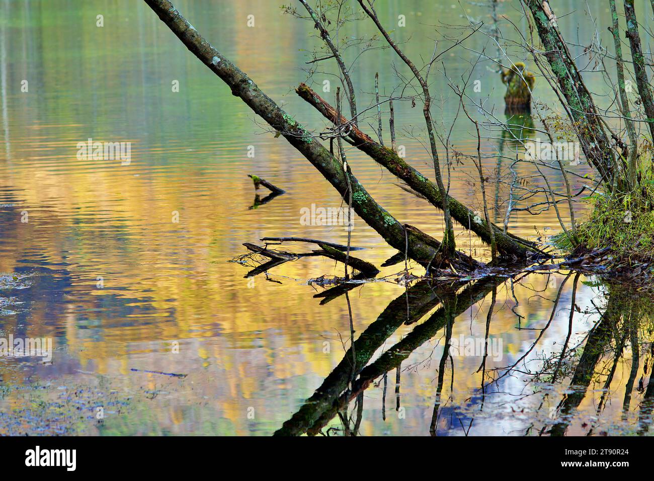 Beautiful Taisho Pond at Kamikochi, Japan. The still blue waters of the ...
