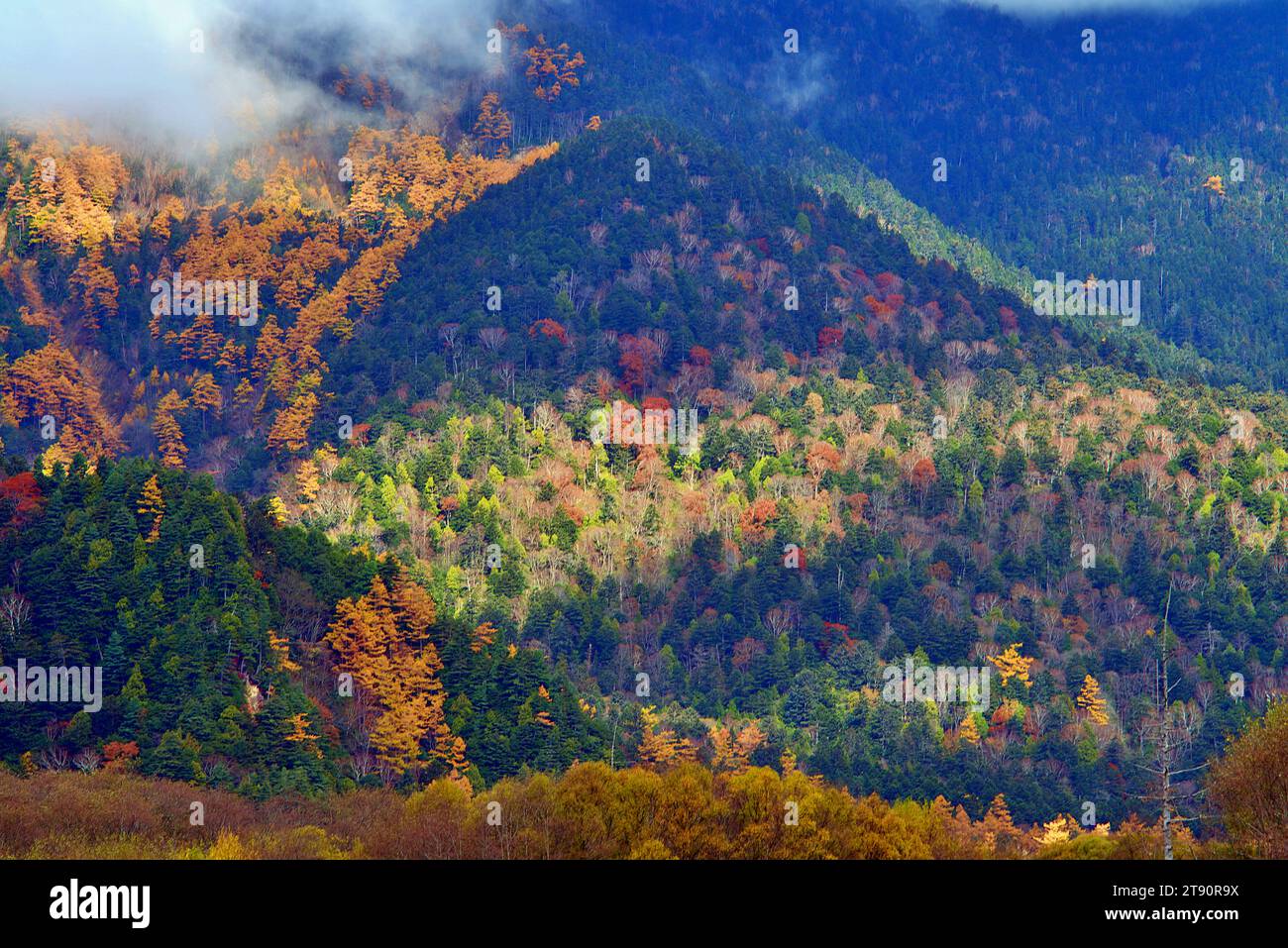 Kamikochi National Park in the Northern Japan Alps of Nagano Prefecture ...