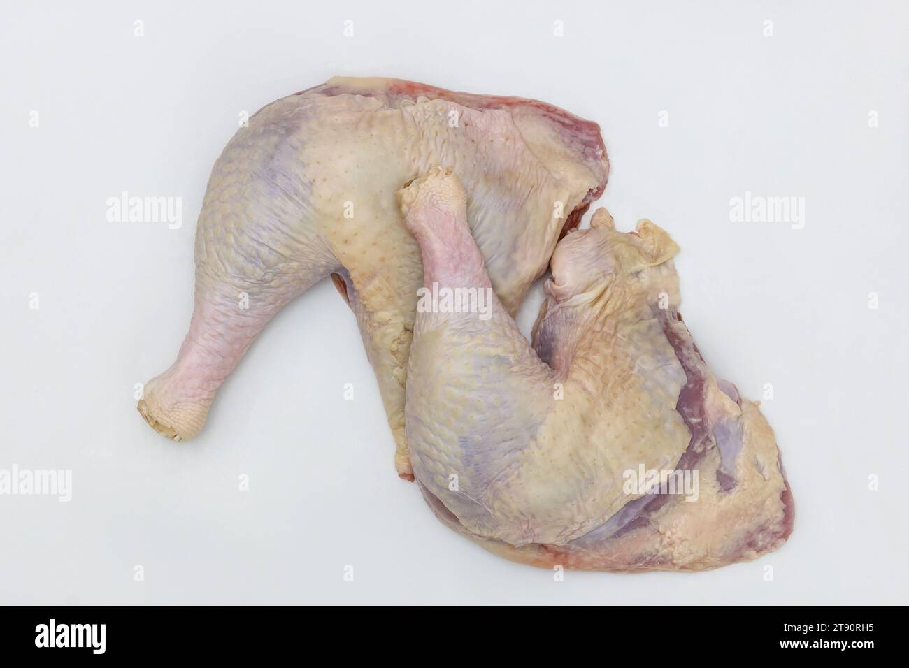 Raw turkey leg quarters on isolated white background Stock Photo - Alamy