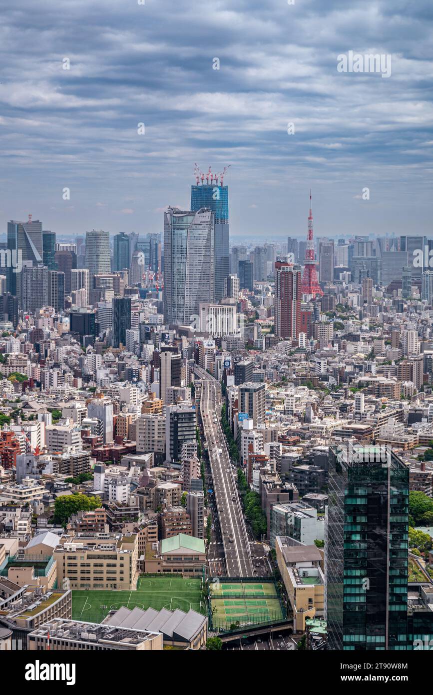 View of Tokyo skyline with Tokyo Tower on a cloudy day Stock Photo - Alamy