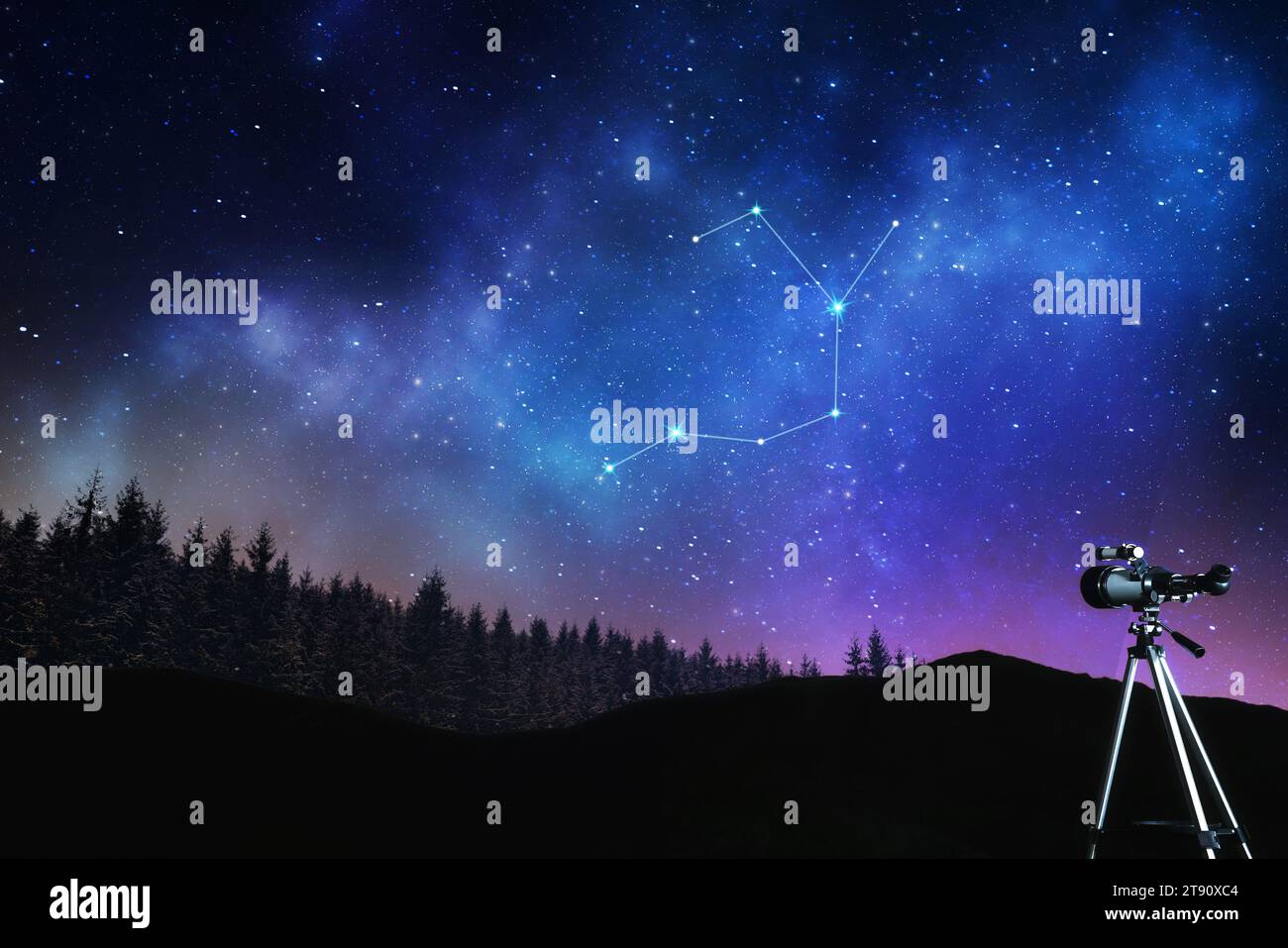 Sagittarius (Archer) constellation in starry sky over conifer forest at ...