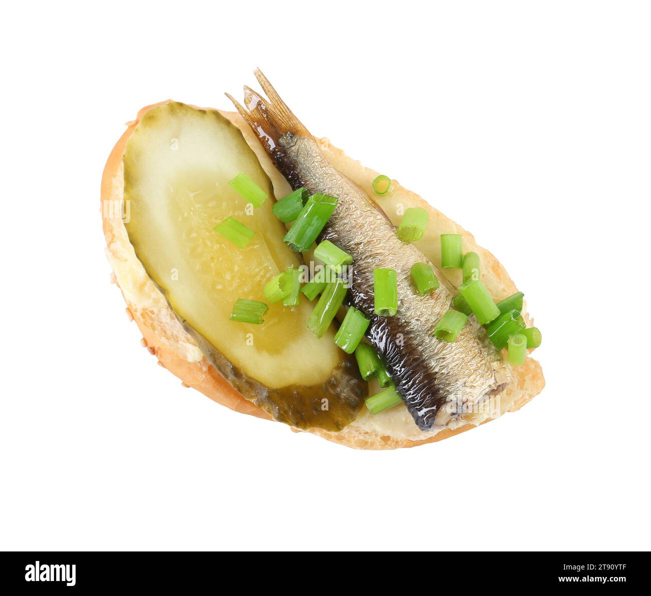 Delicious sandwich with sprat, pickled cucumber and green onion ...