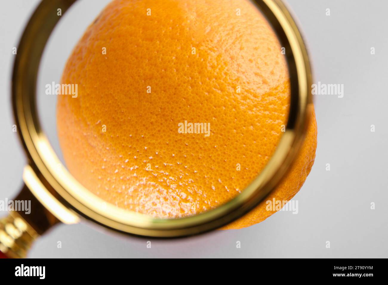 Cellulite problem. Zoomed orange on light grey background, view through ...