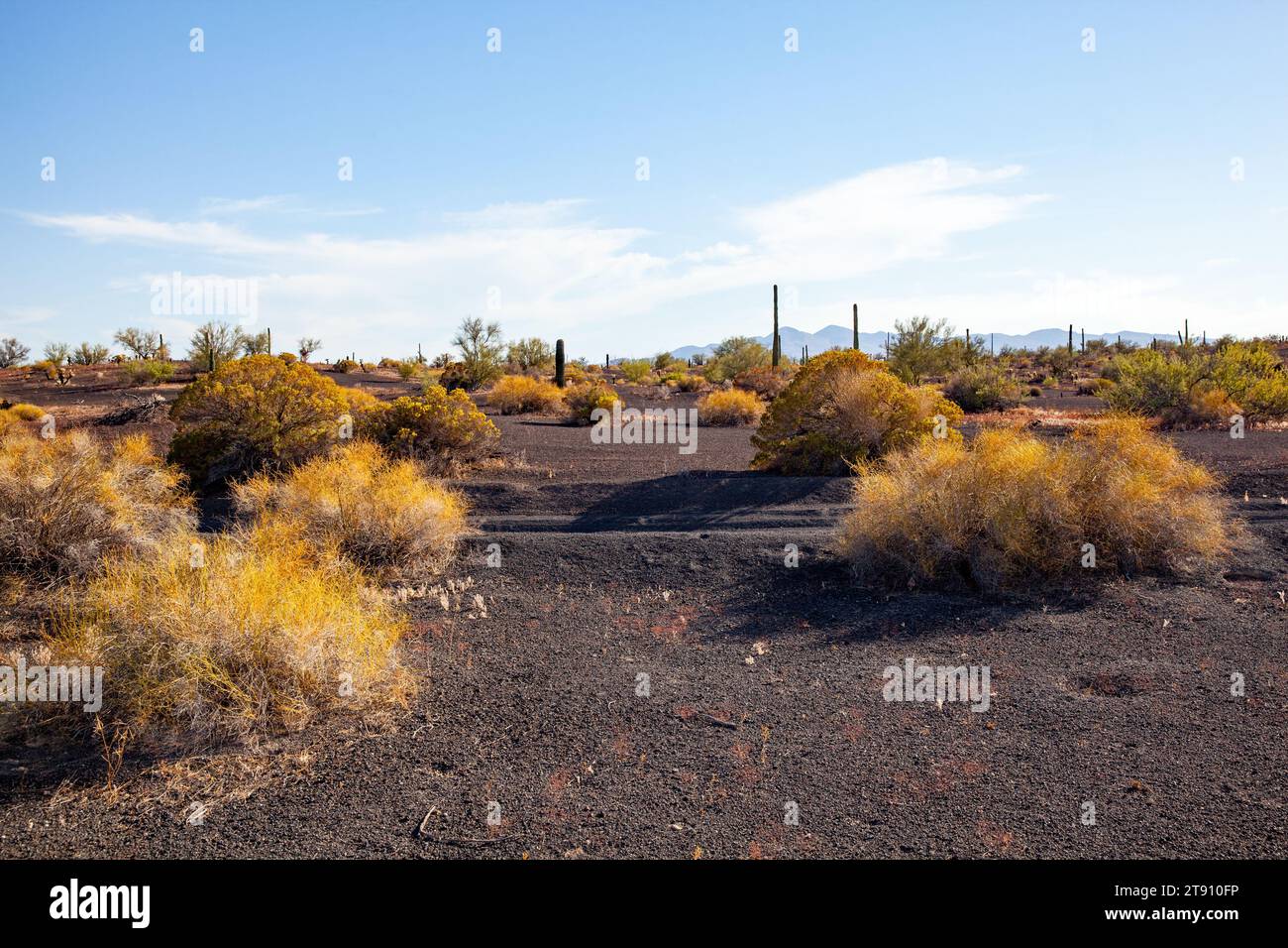 Pinacate mexico landscape hi-res stock photography and images - Alamy