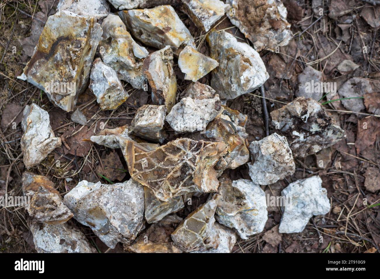 A flint nodule split into pieces with fine-crystalline quartz filling ...