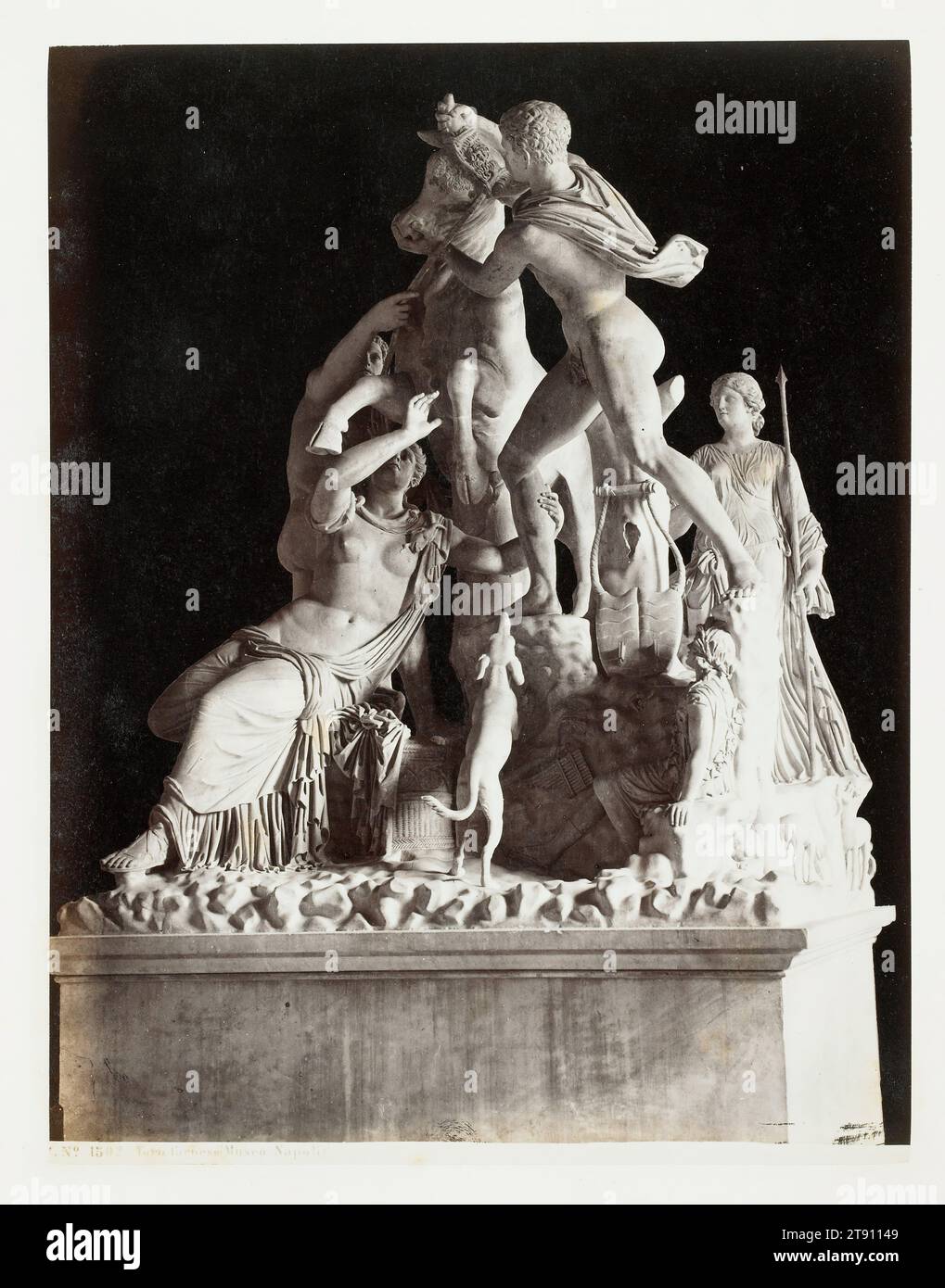 Toro Farnese, Museo Napoli, 19th-20th century, Giorgio Sommer, Italian ...