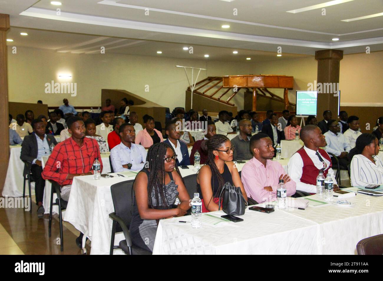 Giant roy hi-res stock photography and images - Alamy