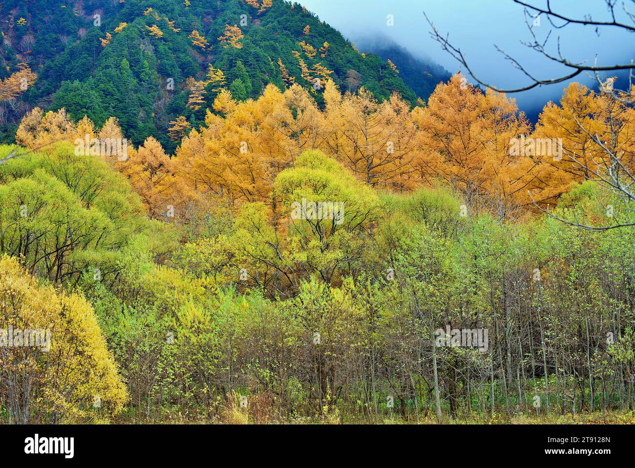 Kamikochi National Park in the Northern Japan Alps of Nagano Prefecture ...