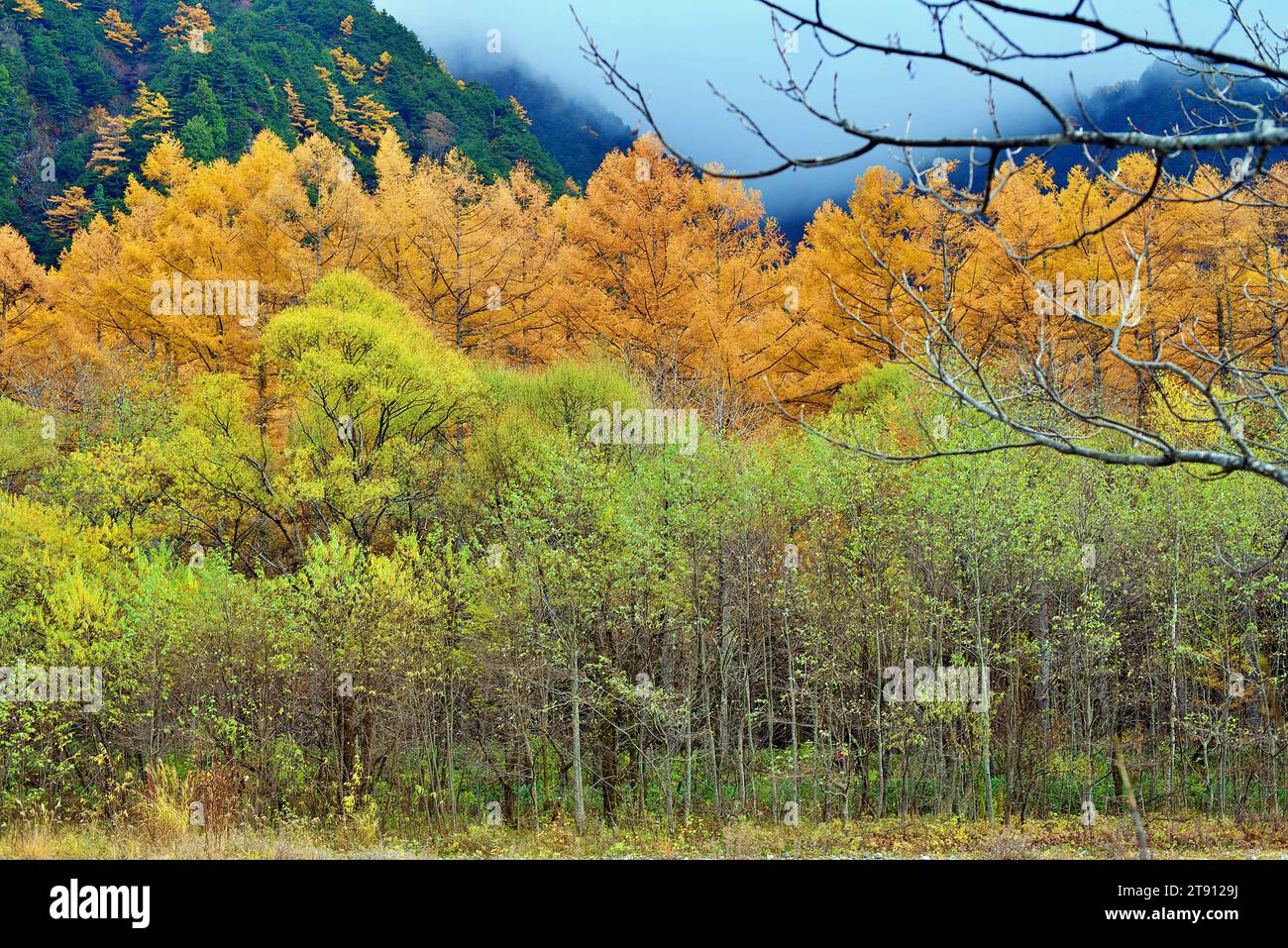 Kamikochi National Park in the Northern Japan Alps of Nagano Prefecture ...