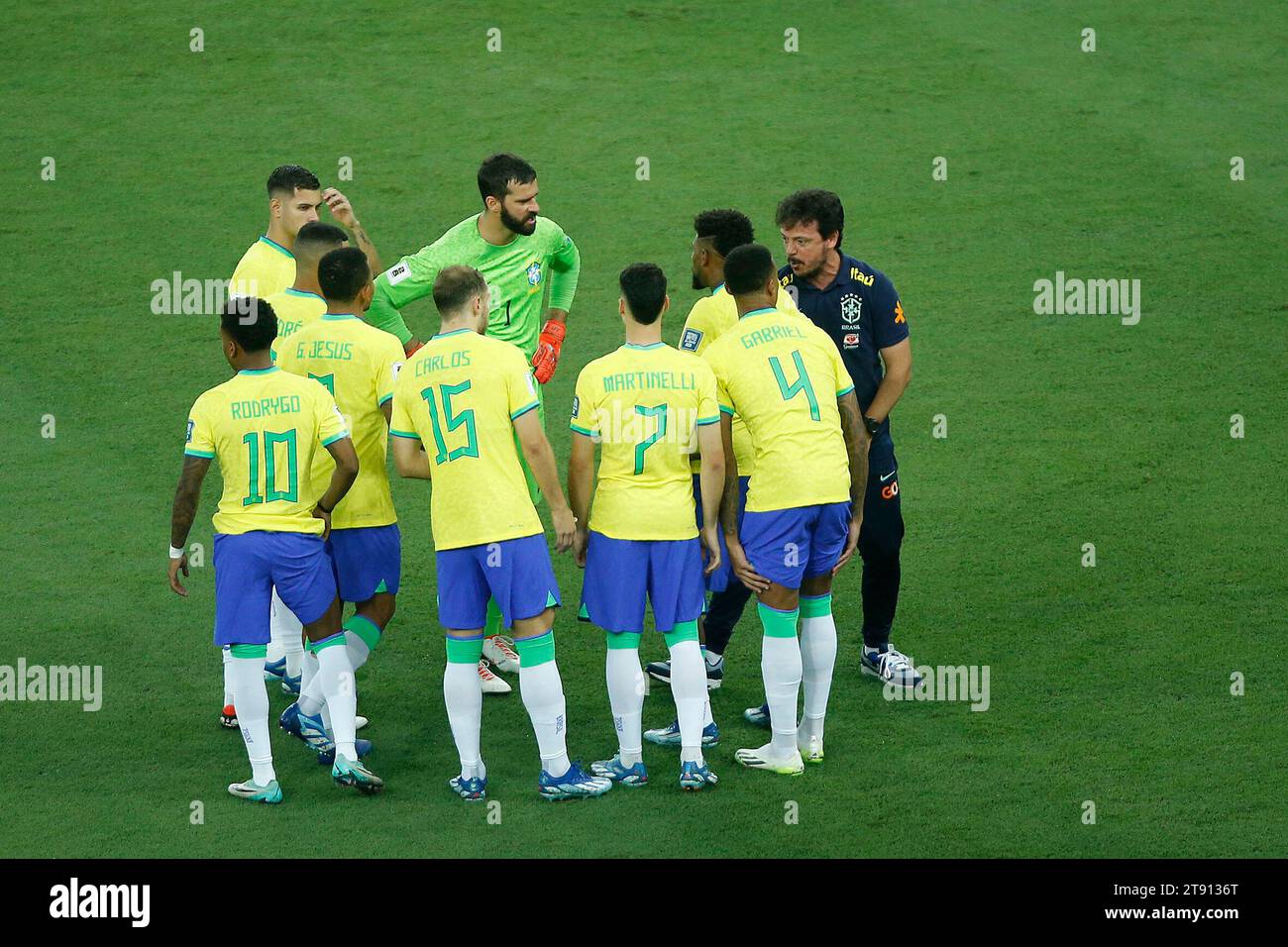 Rio de Janeiro, Brazil. 21st Nov, 2023. Brazil manager Fernando Diniz ...