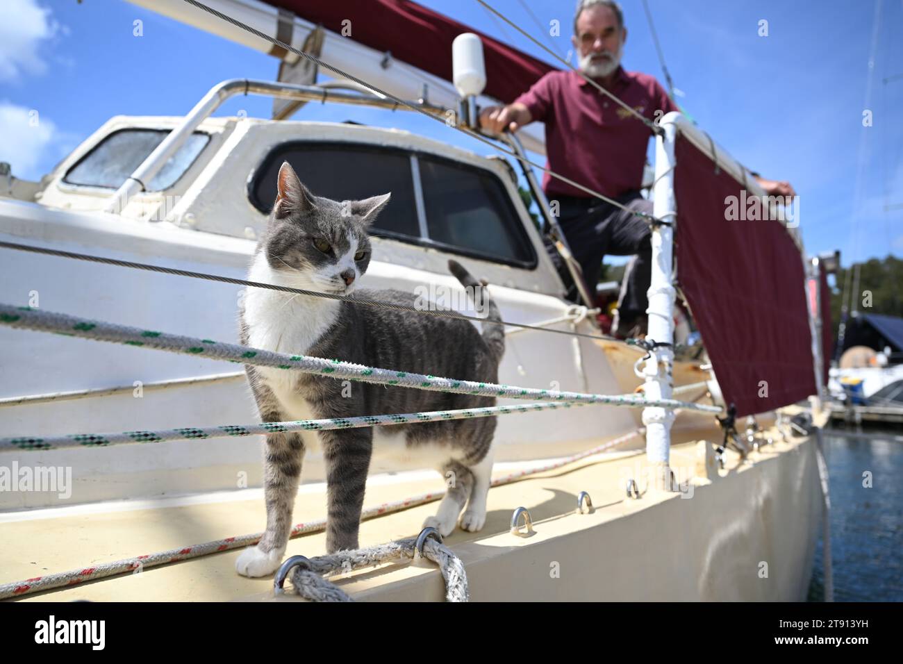 Sydney, Australia. 22nd Nov, 2023. Sylph VI skipper and owner Robert ...