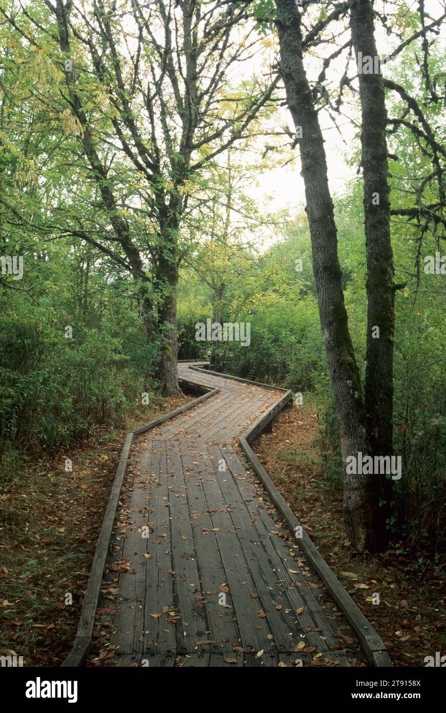 Jackson frazier wetland park hi-res stock photography and images - Alamy
