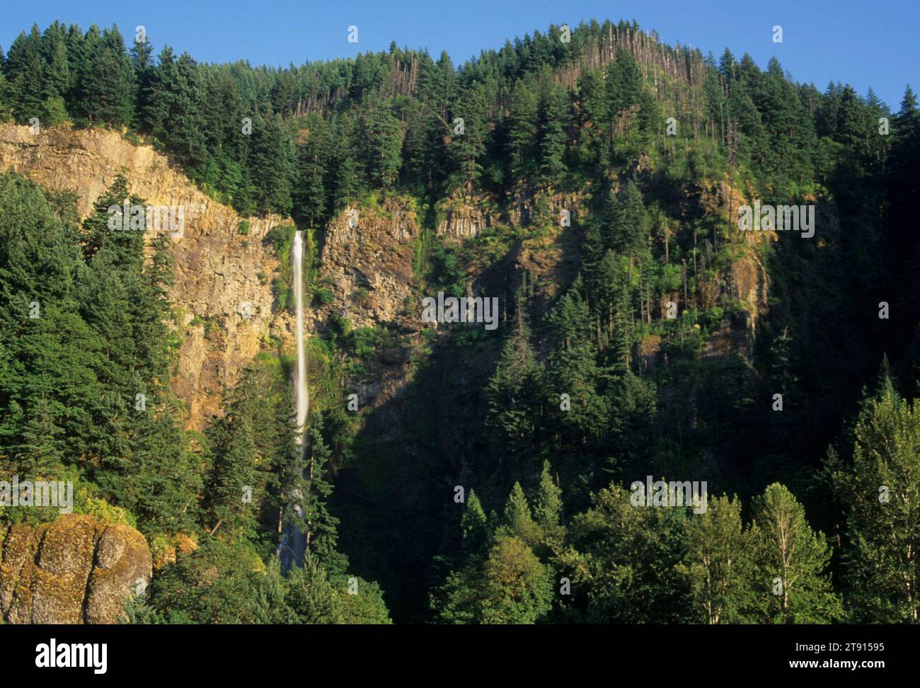 Multnomah Falls, Mt Hood National Forest, Columbia River Gorge National ...