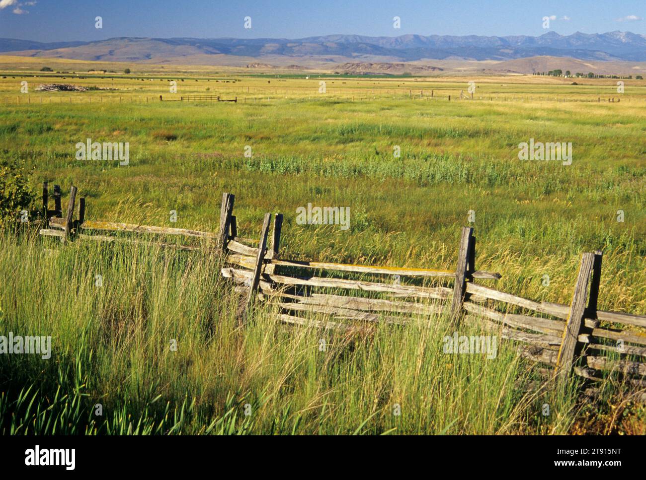 Baker Valley fence, Elkhorn National Scenic Byway, Baker County, Oregon ...