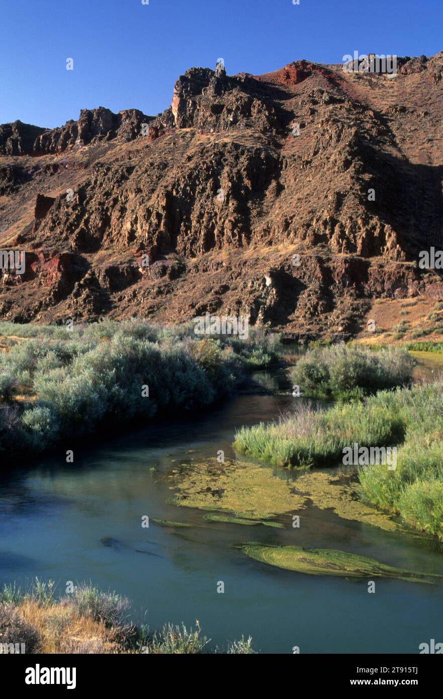 Owyhee River below Lake Owyhee, Vale District Bureau of Land Management ...