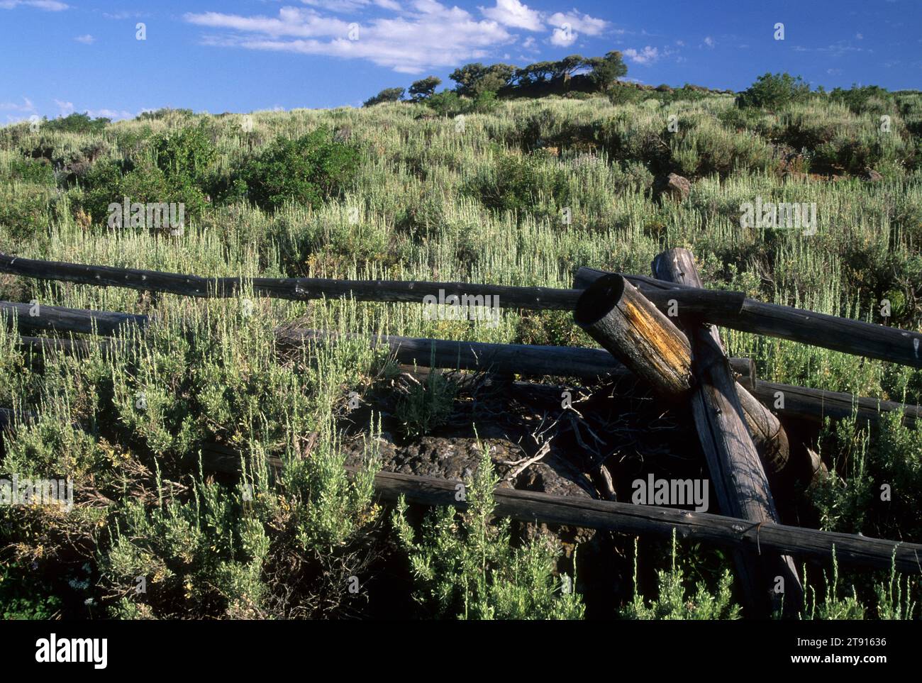 Pole fence at jackman park hi-res stock photography and images - Alamy