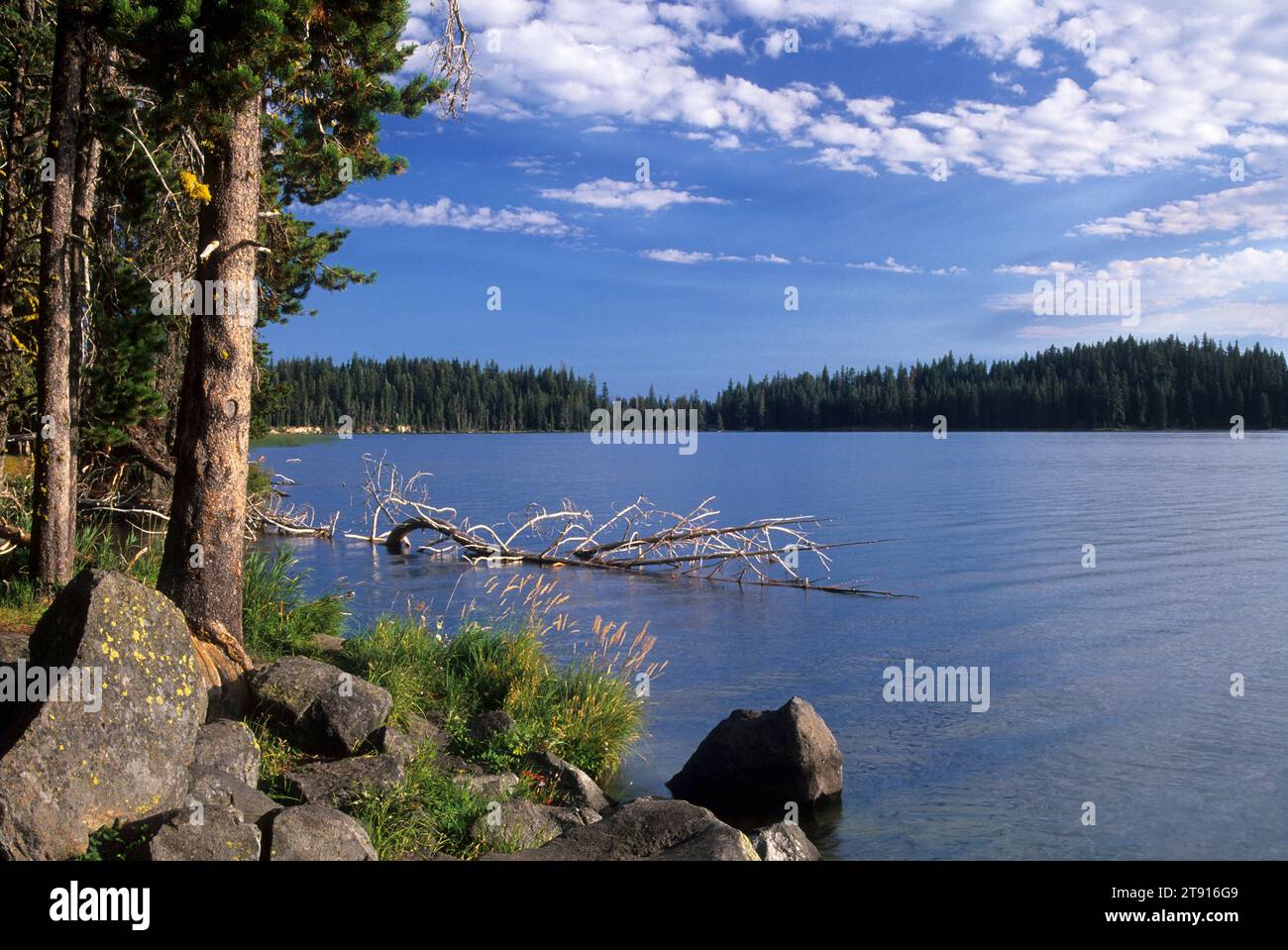 Diamond Lake, Rogue-Umpqua National Scenic Byway, Umpqua National ...