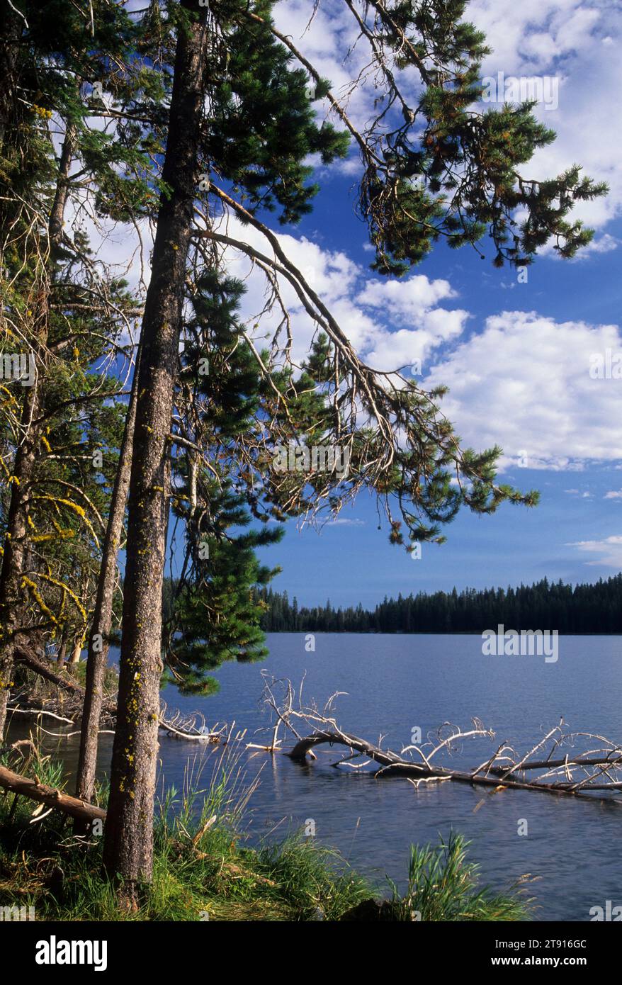 Diamond Lake, Rogue-Umpqua National Scenic Byway, Umpqua National ...