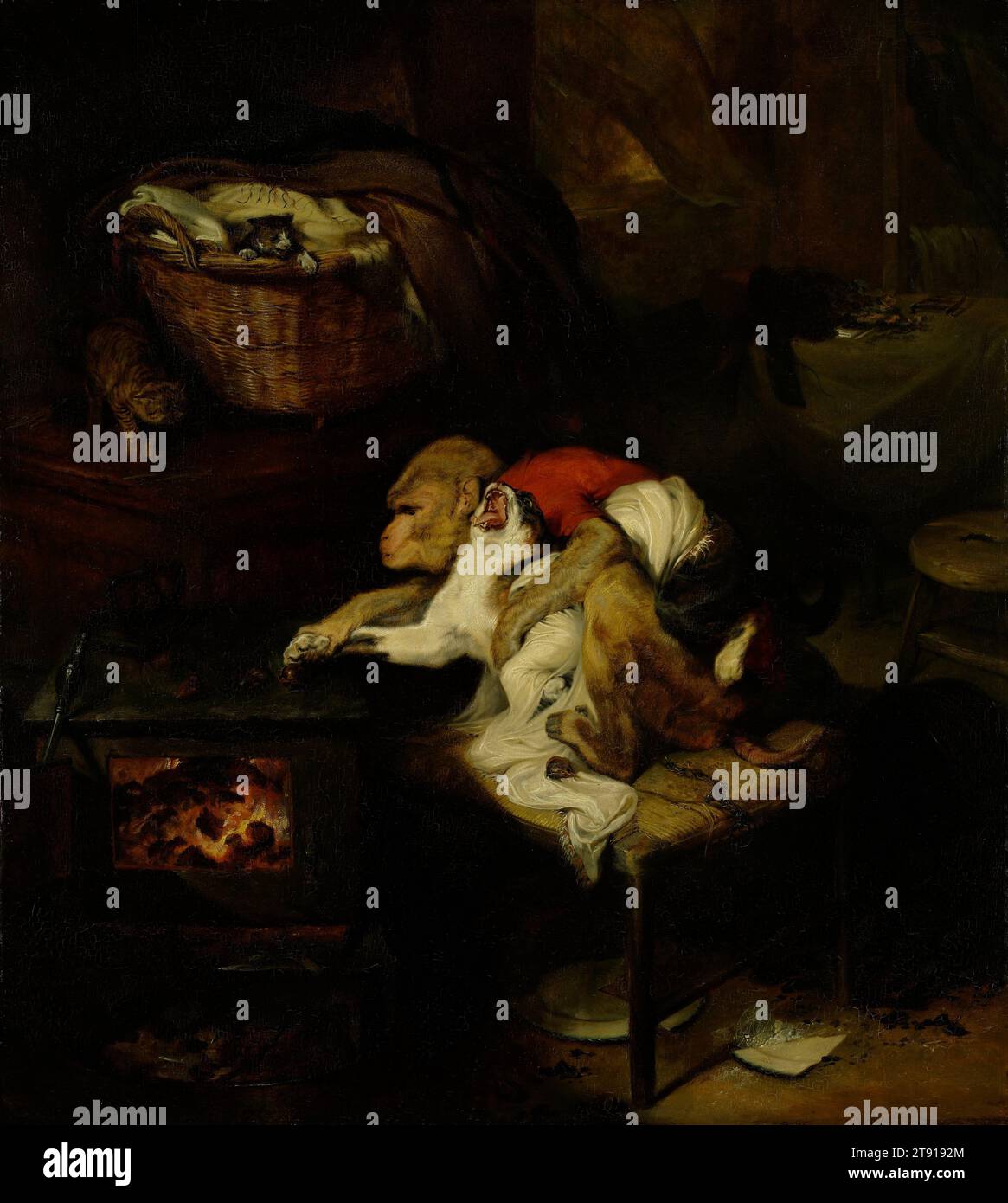 Term cats paw hi-res stock photography and images - Alamy