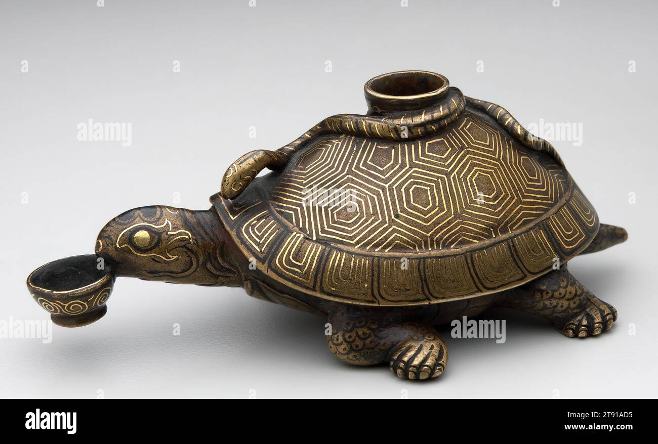 Tortoise plastron china hi-res stock photography and images - Alamy