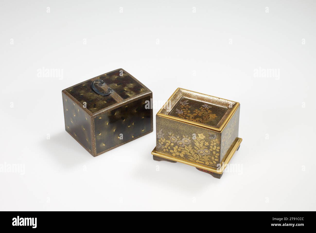 Japanese firefly hi-res stock photography and images - Alamy