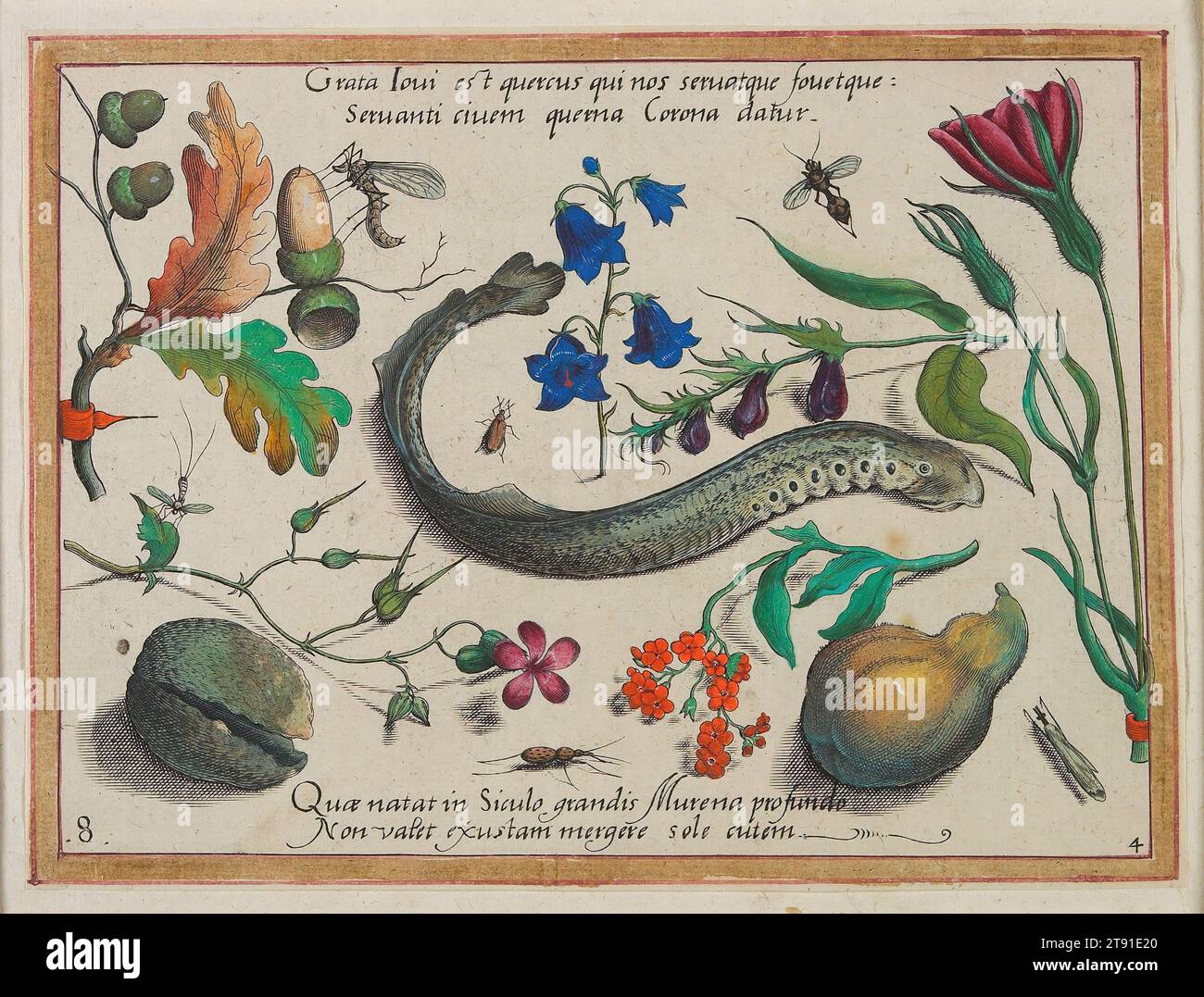 Ioui hi-res stock photography and images - Alamy