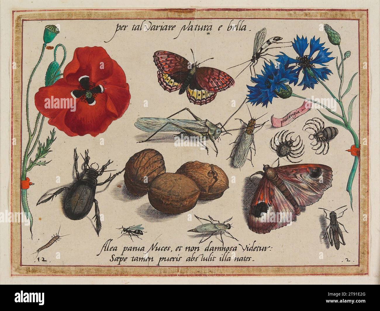 Tal variare natura e bella hi-res stock photography and images - Alamy