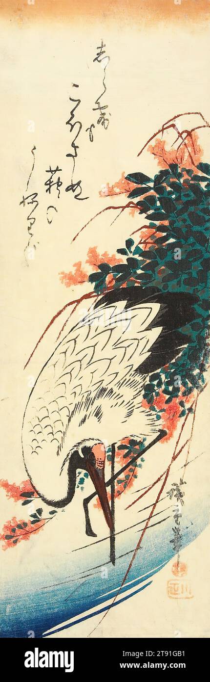 Trailing bush clover hi-res stock photography and images - Alamy