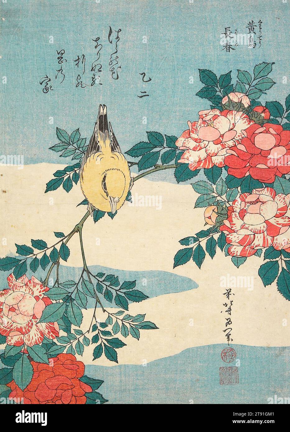 Otsuni hi-res stock photography and images - Alamy