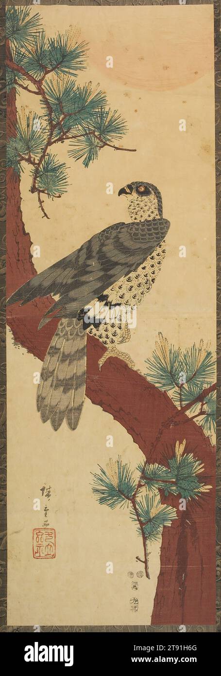 Falcon, Pine, and Sun, 1853, 9th month, Utagawa Hiroshige; Publisher ...