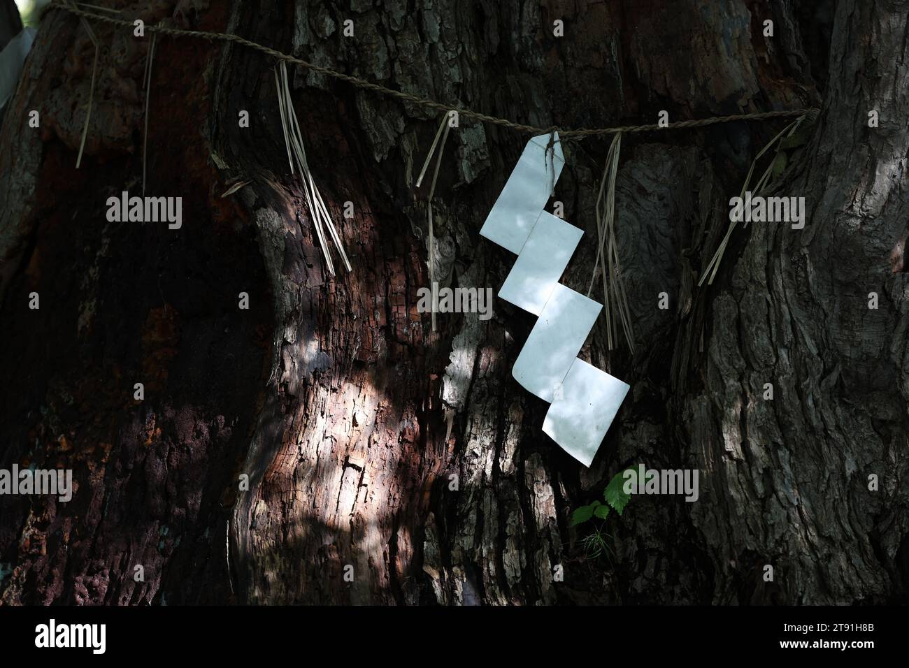 Shide japan hi-res stock photography and images - Alamy