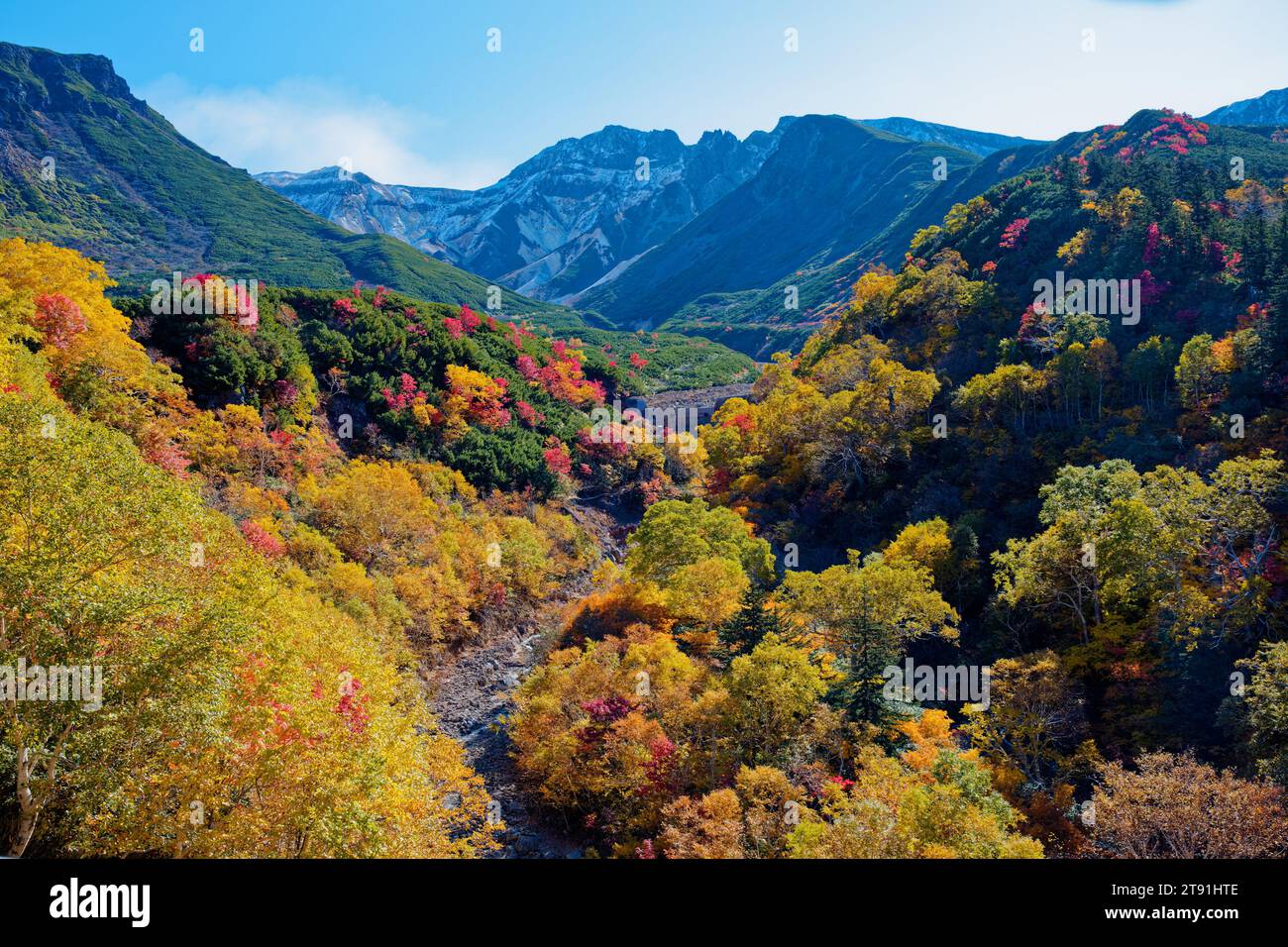 Autumn Foliage, Tokachidake Onsen, Hokkaido Prefecture, Japan Stock ...