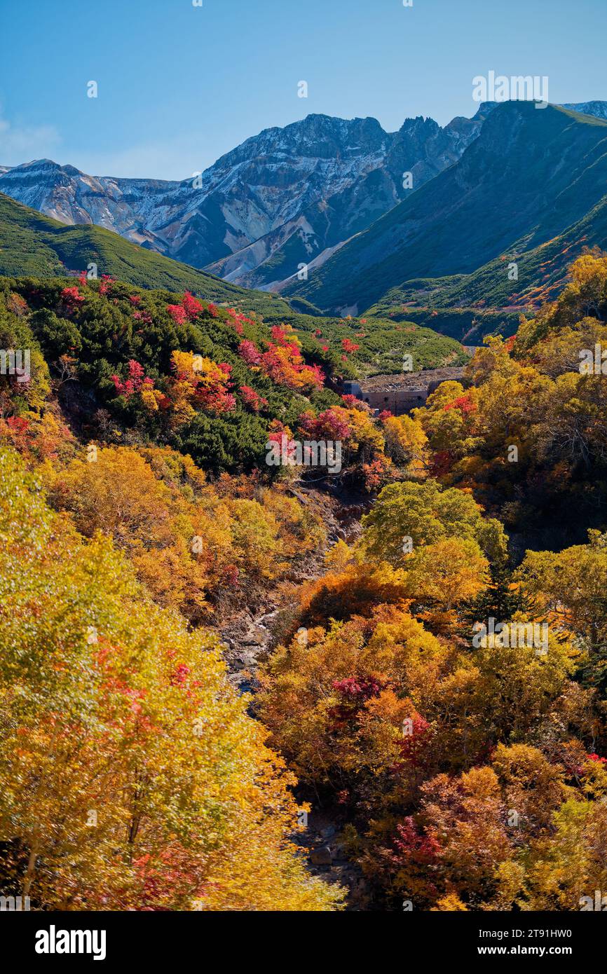 Autumn Foliage, Tokachidake Onsen, Hokkaido Prefecture, Japan Stock ...