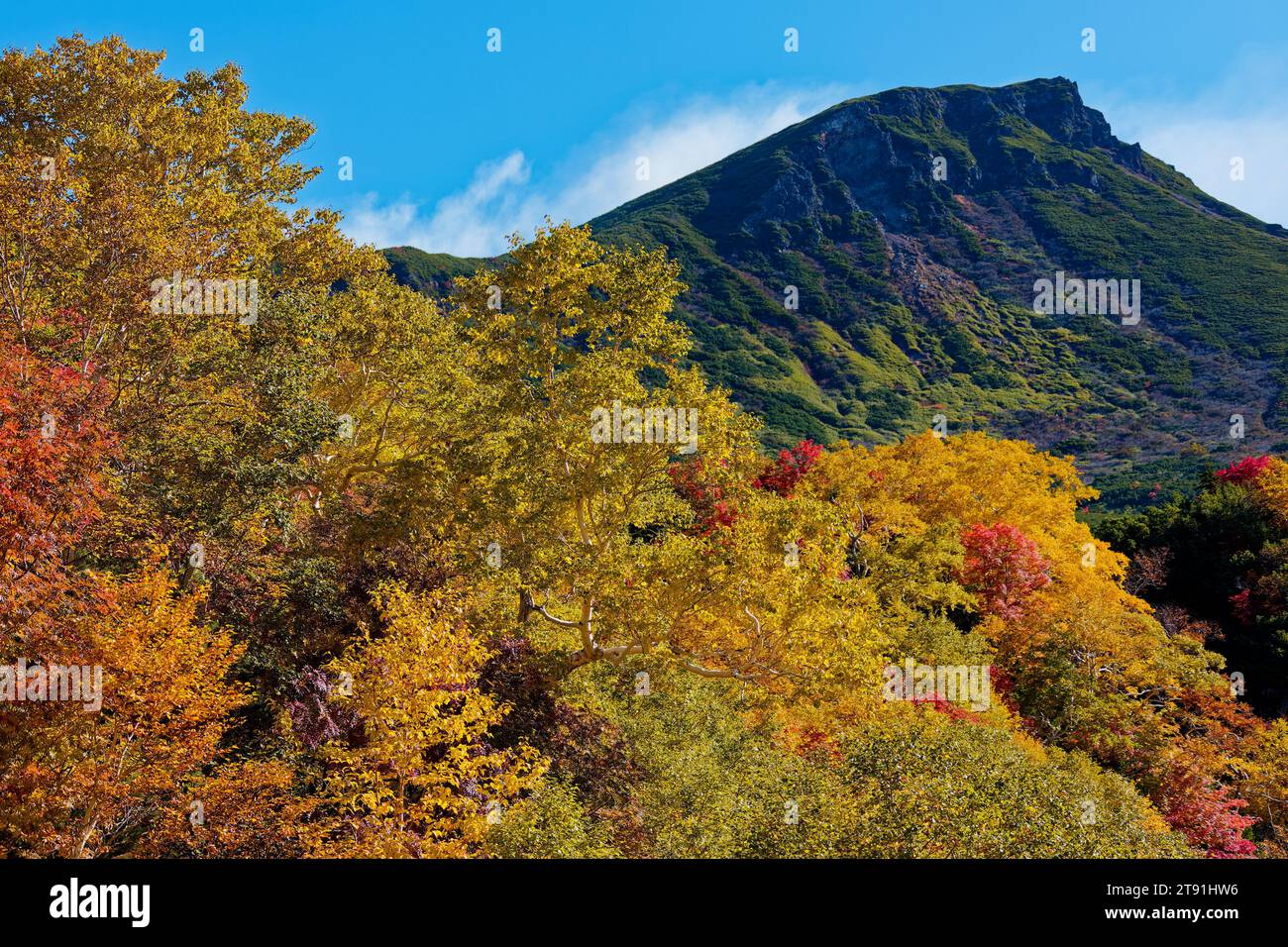 Autumn Foliage, Tokachidake Onsen, Hokkaido Prefecture, Japan Stock ...