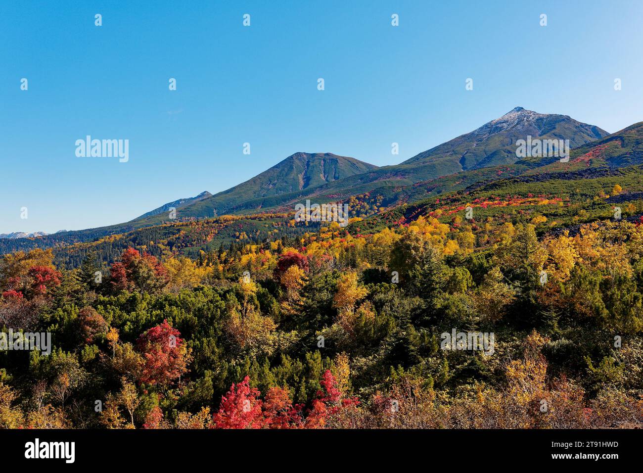 Autumn Foliage from Mt.Tokachi Observatory, Hokkaido, Japan Stock Photo ...
