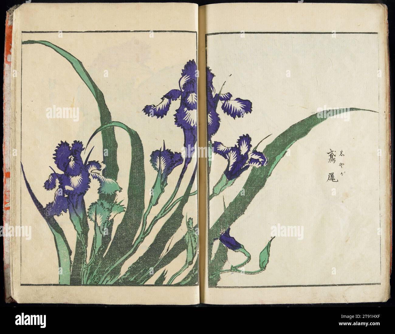 Transmitting the Spirit and Revealing the Form of Things: Hokusai's ...