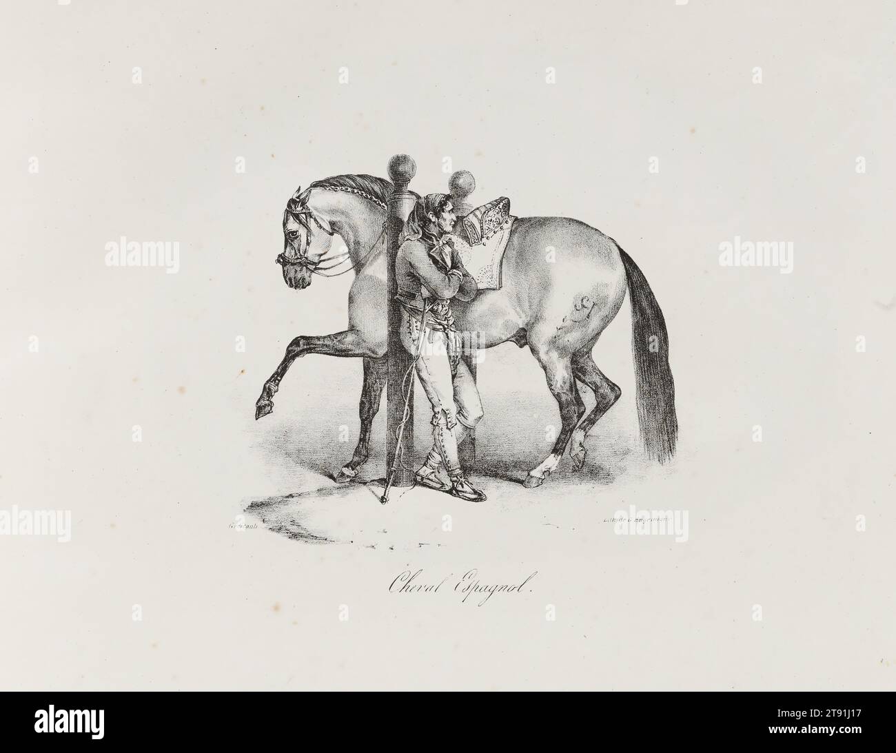 Cheval espagnol hi-res stock photography and images - Alamy