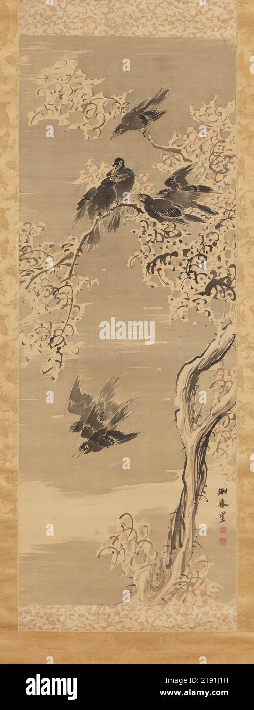 Basho tree hi-res stock photography and images - Alamy