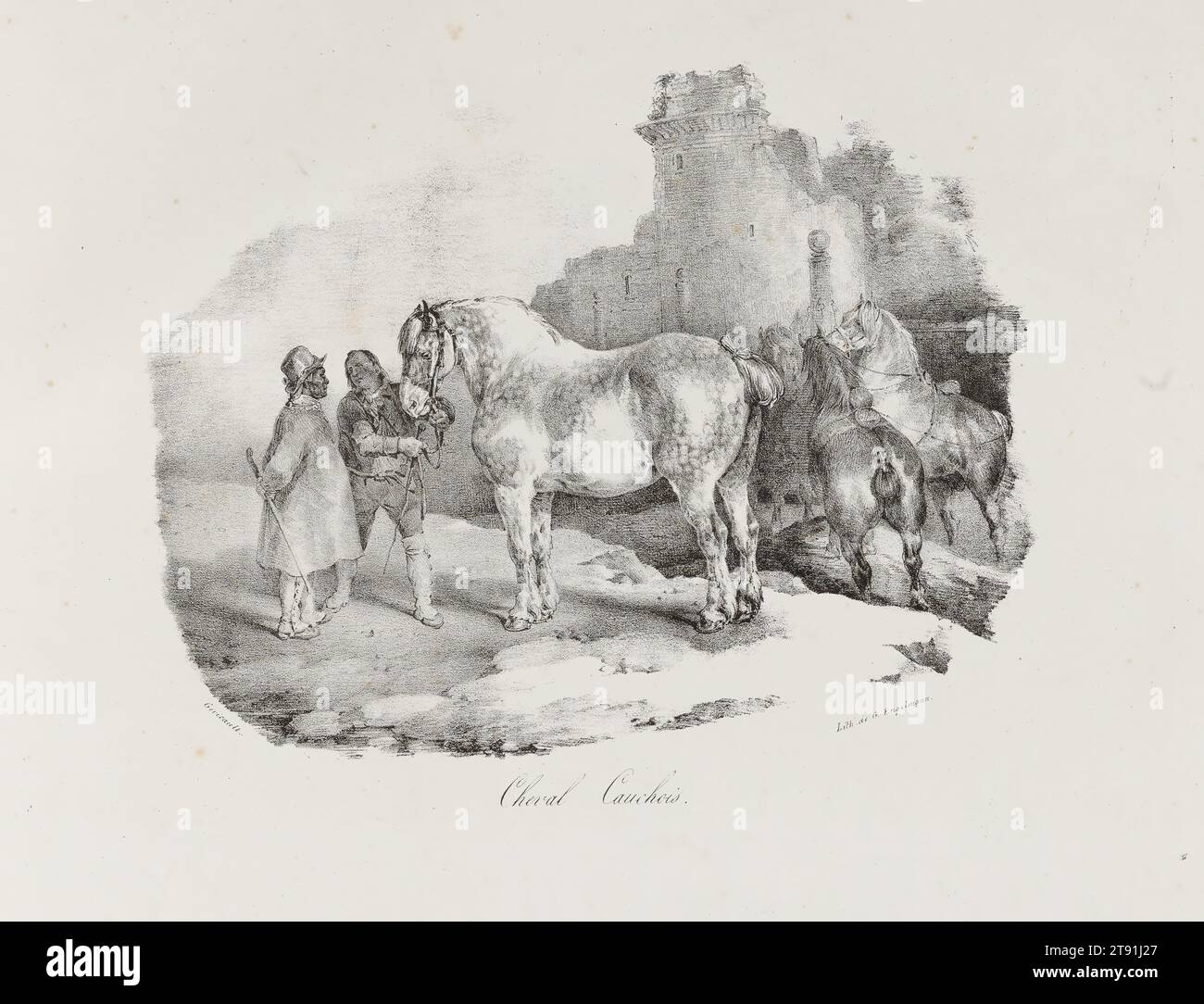 Cheval cauchois hi-res stock photography and images - Alamy