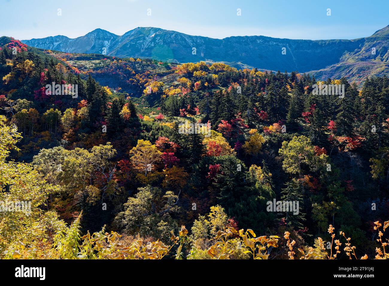Autumn Foliage, Tokachidake Onsen, Hokkaido Prefecture, Japan Stock ...