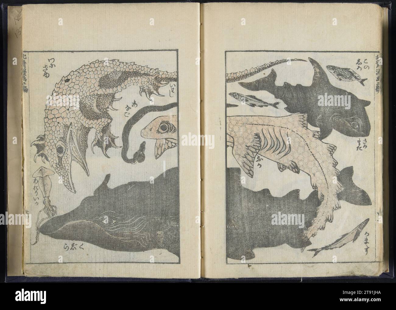 Hokusais sketchbooks hi-res stock photography and images - Alamy