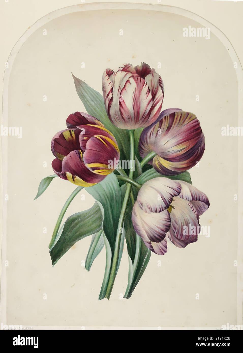 Francois frederic grobon hi-res stock photography and images - Alamy