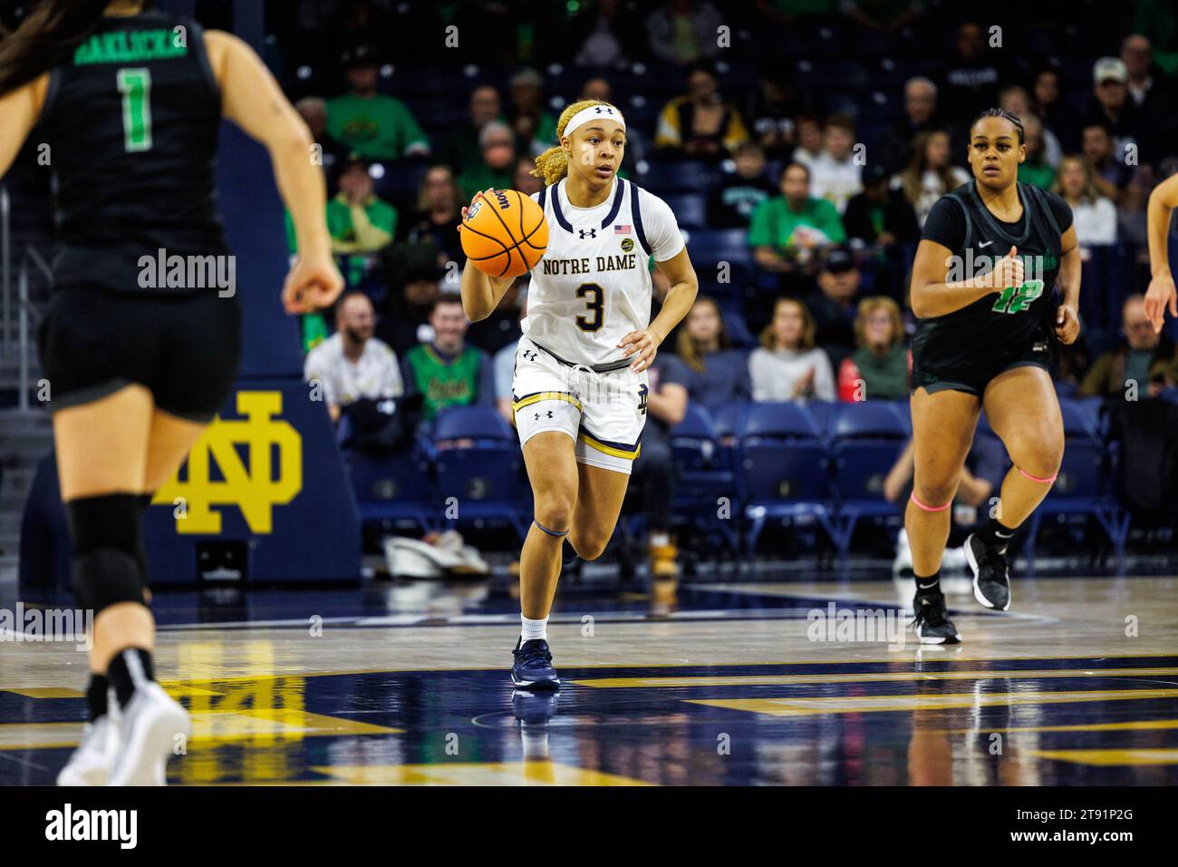 South Bend, Indiana, USA. 21st Nov, 2023. Notre Dame guard Hannah Hidalgo (3) advances the ball ...