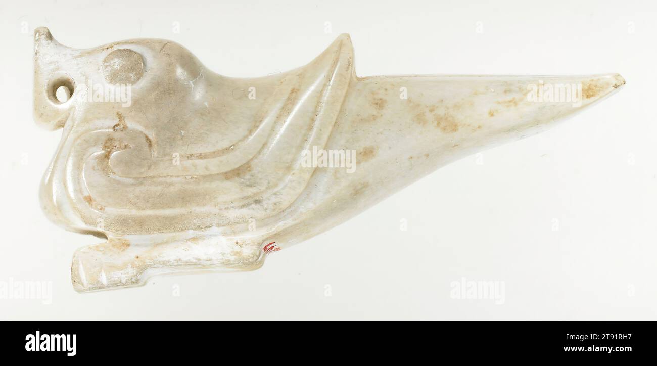 Highly calcified hi-res stock photography and images - Alamy