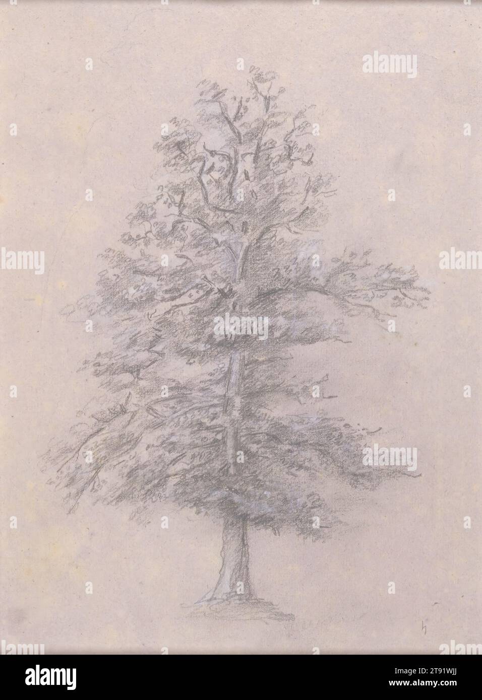 Lavender wove paper hi-res stock photography and images - Alamy