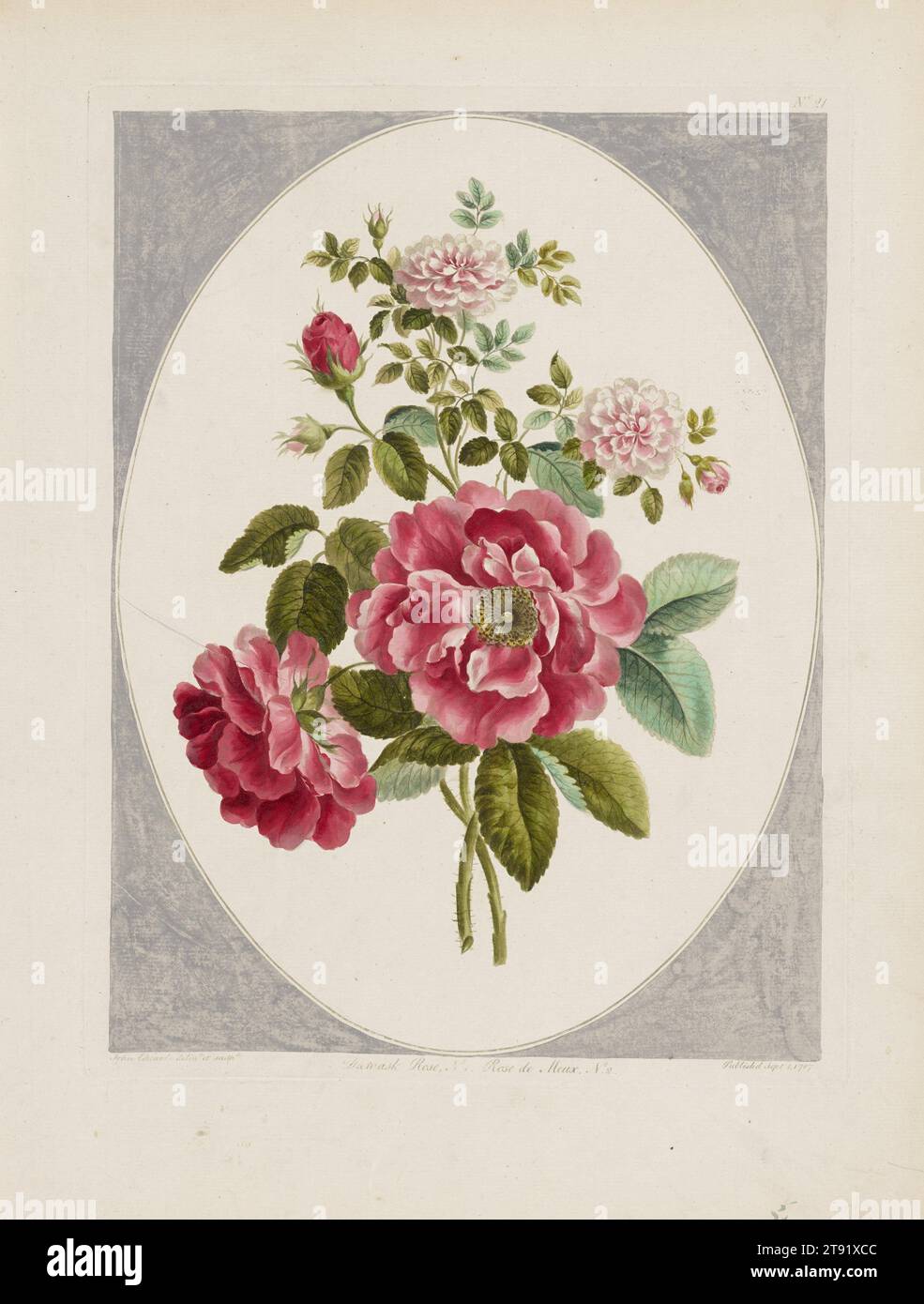 Rose de meux hi-res stock photography and images - Alamy