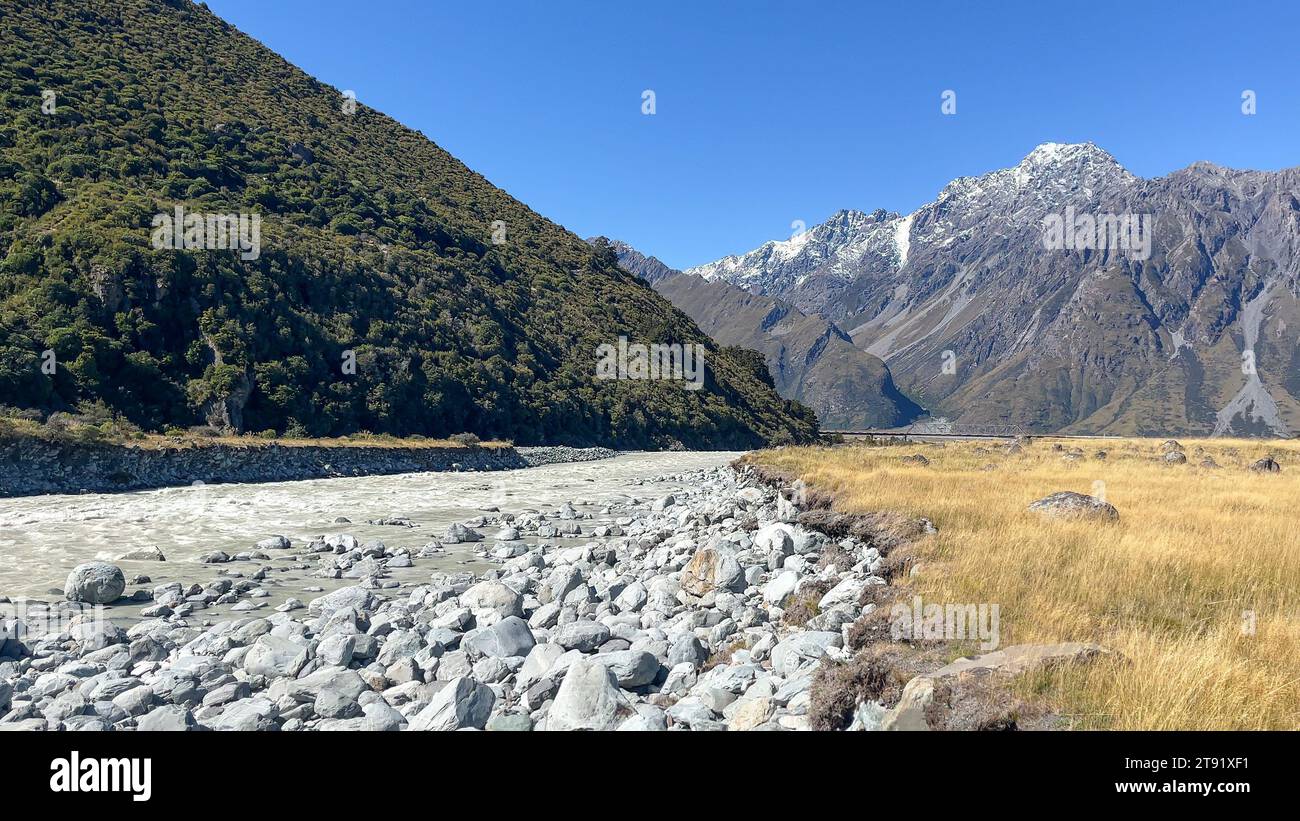 The Tasman river flowing through alpine grassland in Tasman valley ...