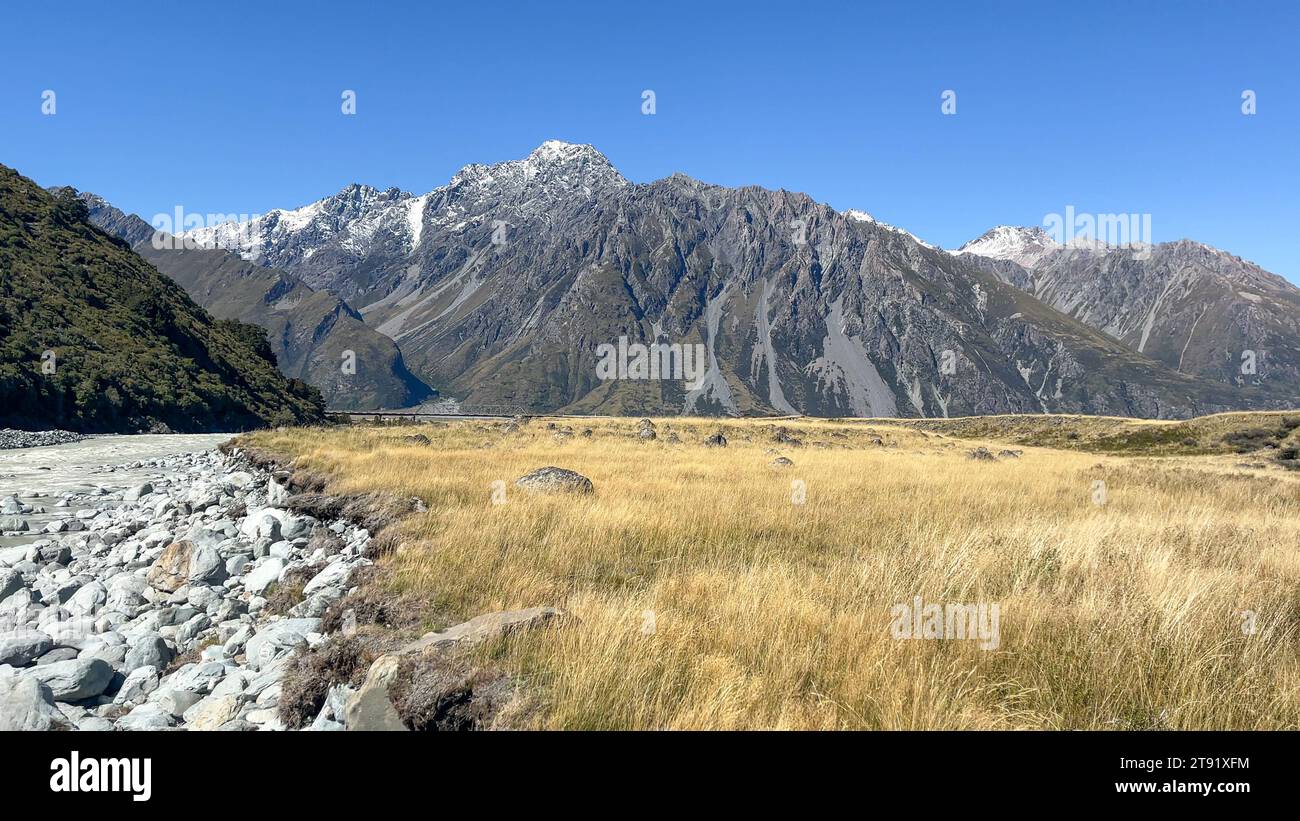 The Tasman river flowing through alpine grassland in Tasman valley ...
