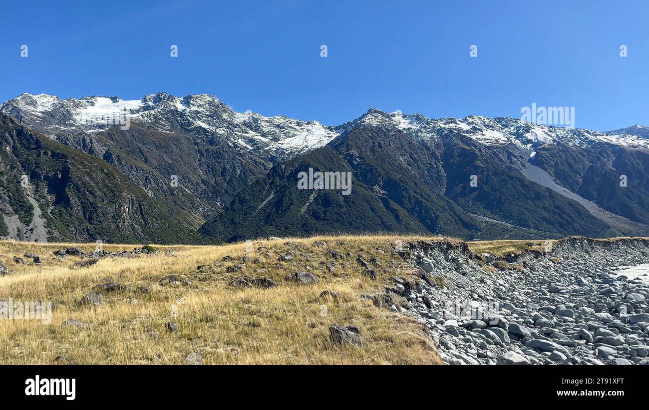 The Tasman river flowing through alpine grassland in Tasman valley ...